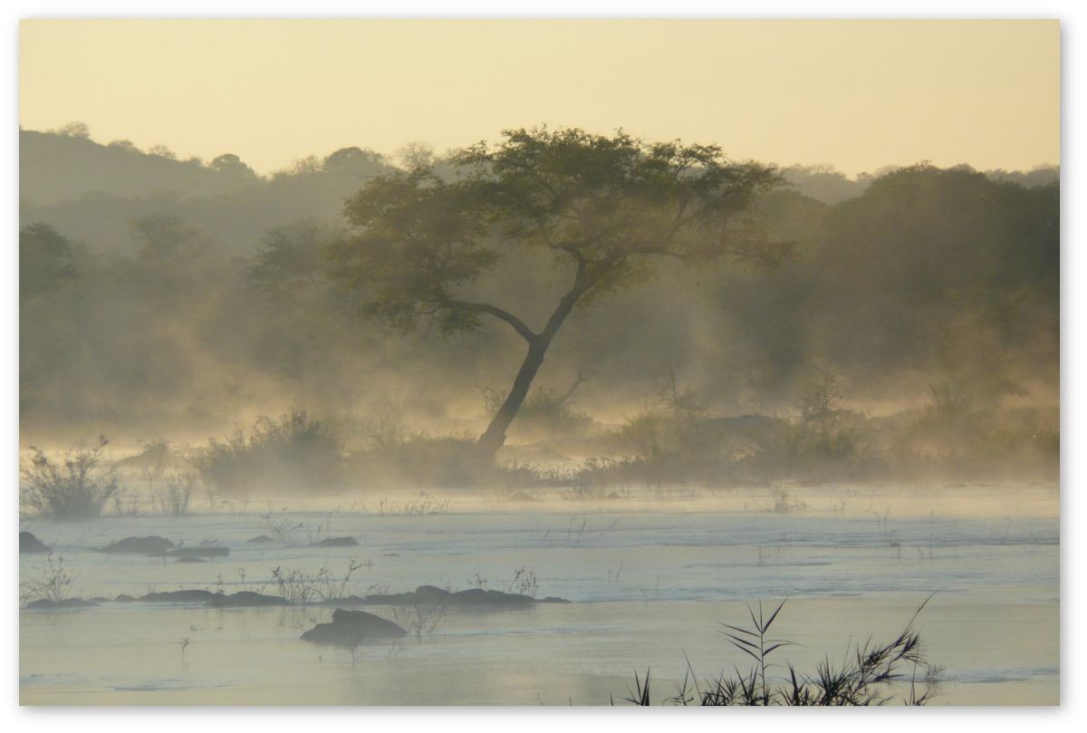 Reports - E-flows for the Limpopo River | IWMI