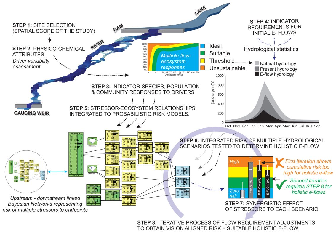 The solution - E-flows for the Limpopo River | IWMI